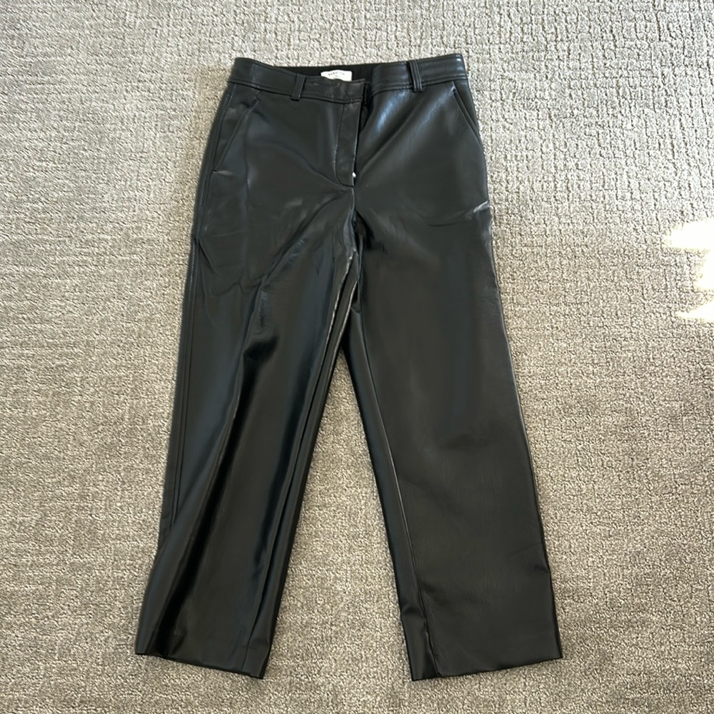 Aritzia Leather Pants - Gem